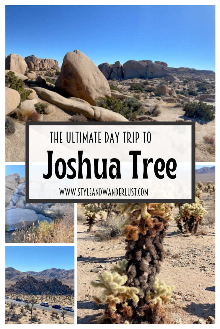 The Ultimate Day Trip To Joshua Tree National Park - Pacific Globetrotters